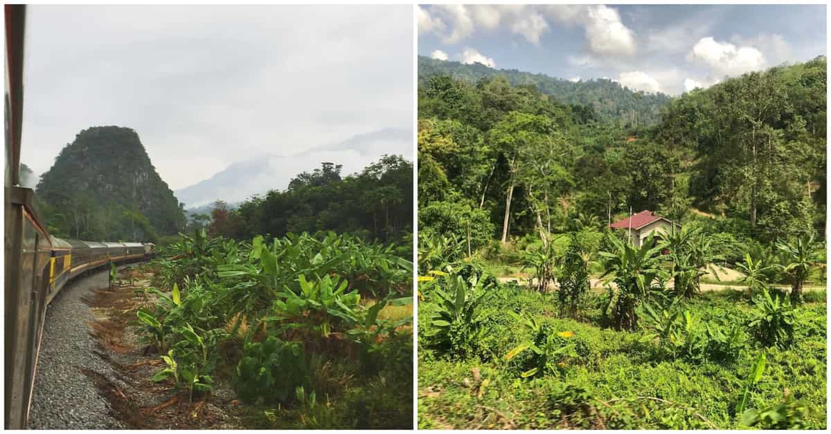 Jungle Railway: Explore The Jungle With This Cross-Country Railway Ride ...